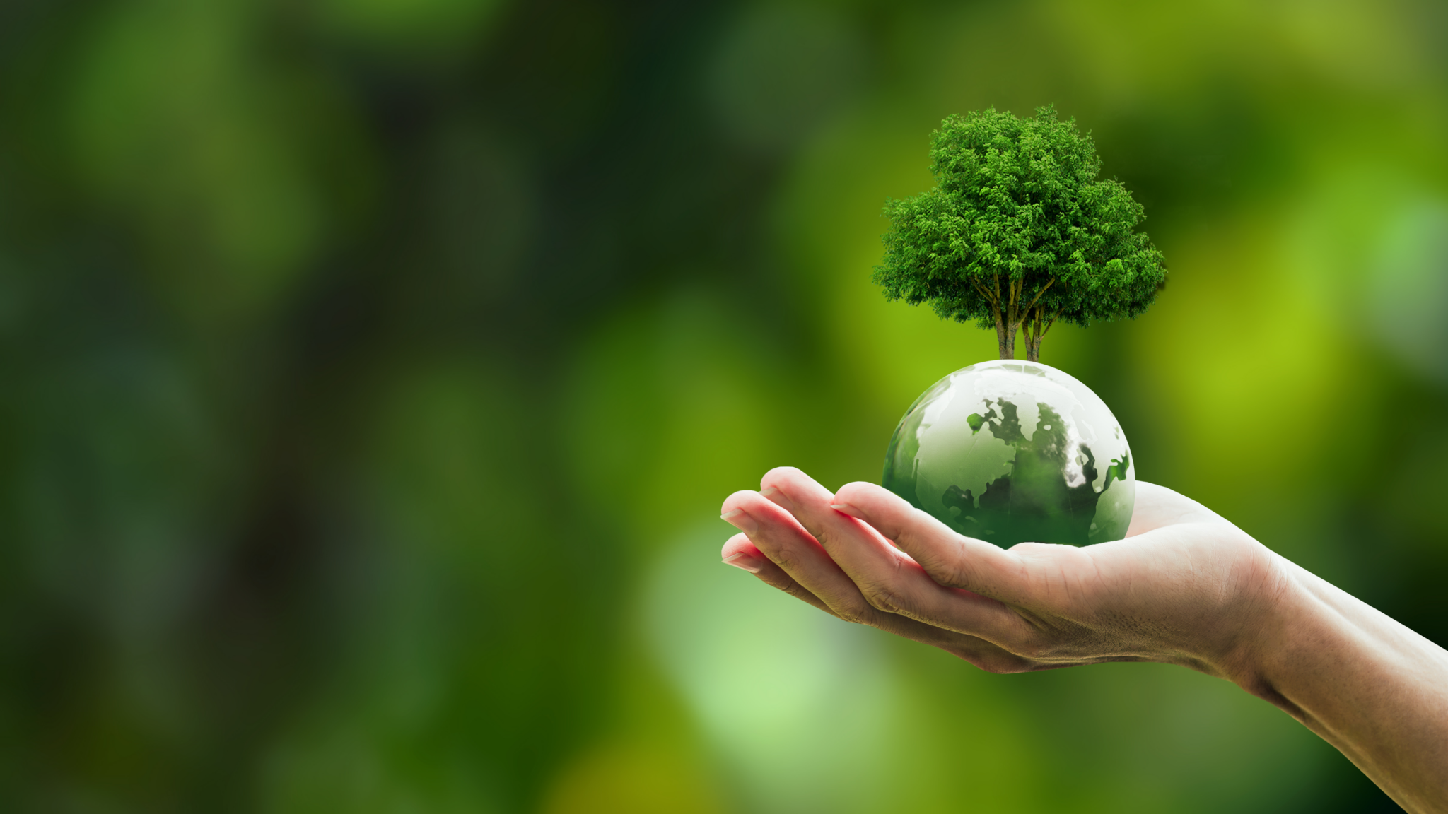 SGFIN-02 Sustainable Project Financing - NUS SGFIN